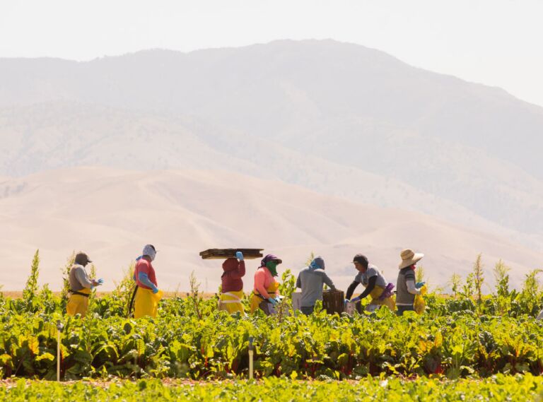 What We Do - California Farmworker Foundation