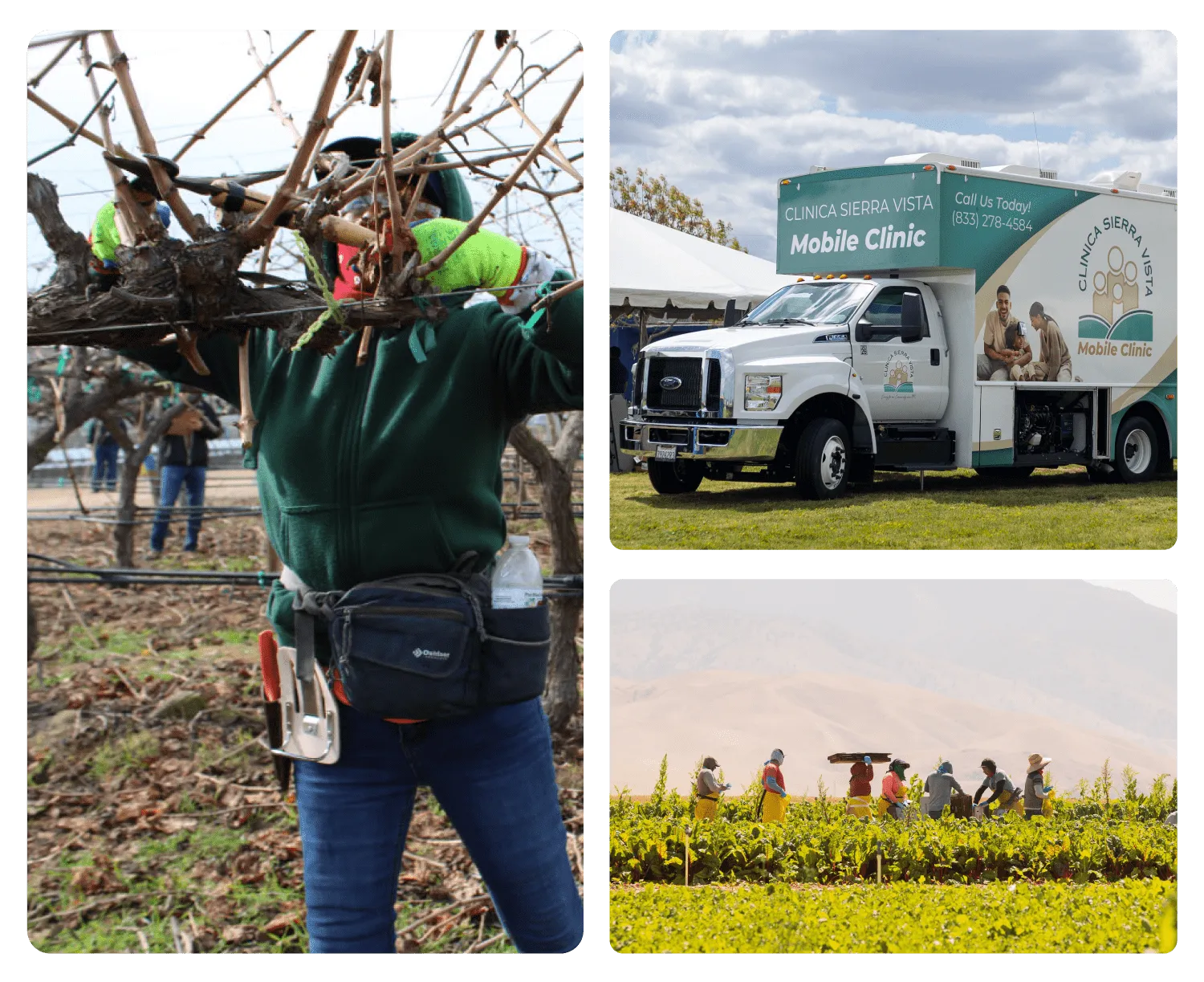 Home - California Farmworker Foundation